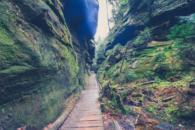 Hiking Path through Rocky Canyon Forest Landscape Stock Image - Image ...