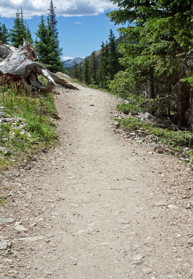 Hiking Path in Rocky Mountain National Park Stock Photo - Image of walk ...