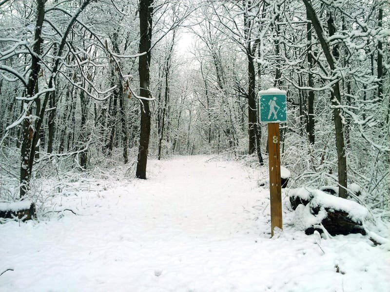 Hiking path in snow stock photo. Image of cold, wintertime - 63467234