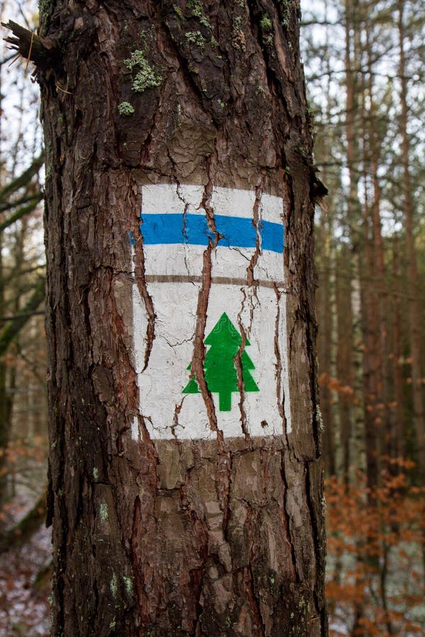 Hiking Path Symbols on a Tree Stock Image - Image of road, detail ...