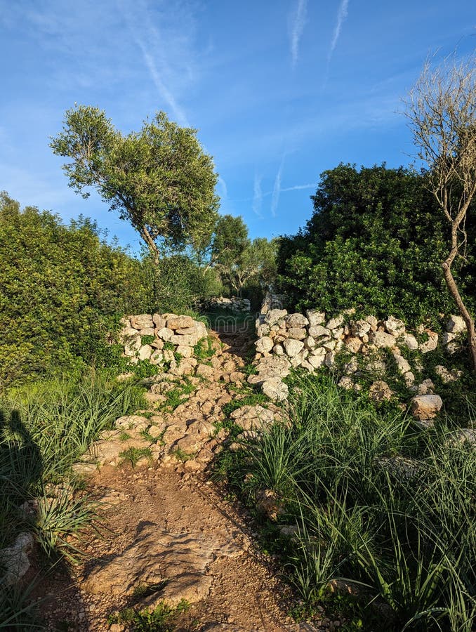 A Hiking Path through a Wall Stock Image - Image of forest, grass ...