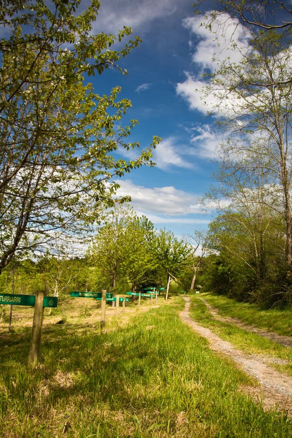 Hiking on Pathway in Beautiful Colorful Green Forest with Fruit Trees ...