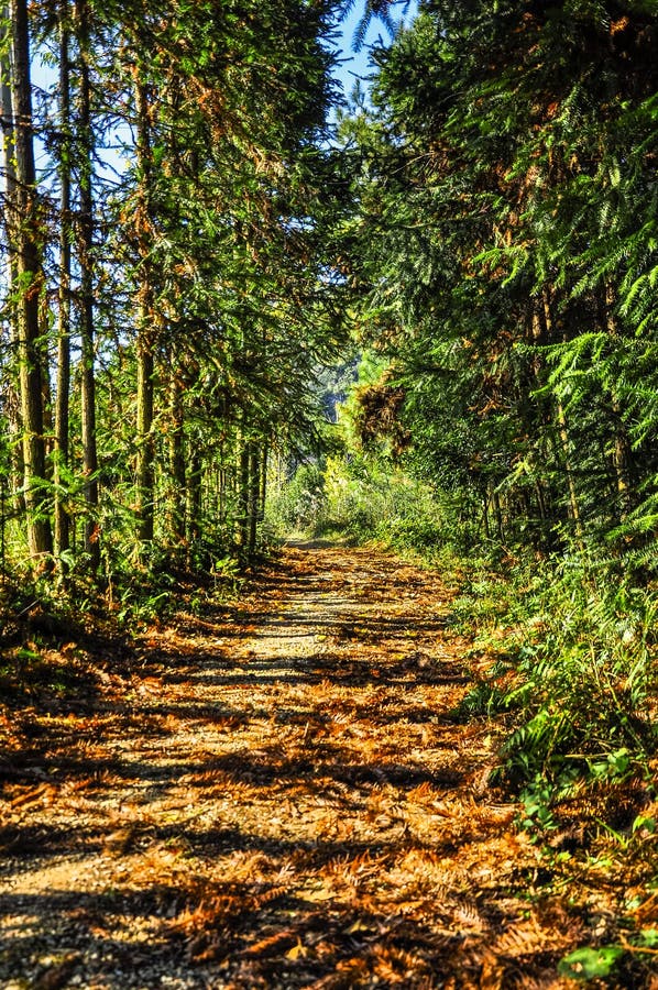 The hiking pathway scenery stock image. Image of recreation - 82572863