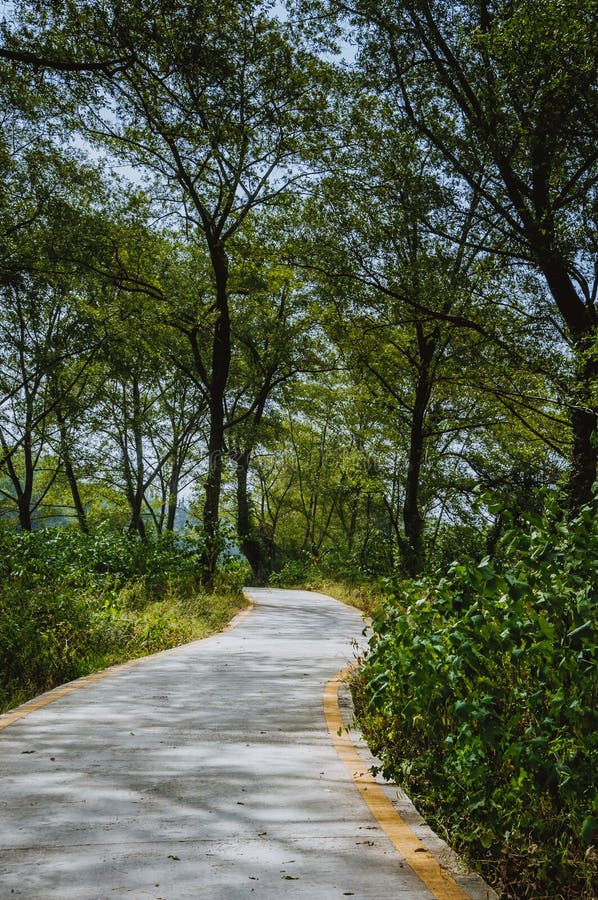 The hiking pathway scenery stock photo. Image of cloud - 82336480