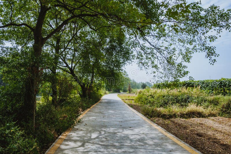 The hiking pathway scenery stock image. Image of outdoors - 82336541