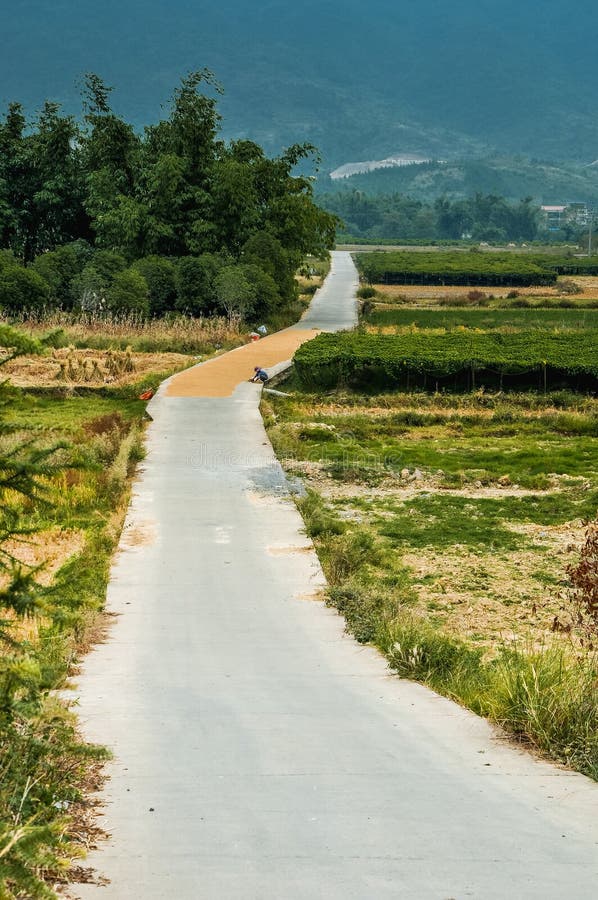 The hiking pathway scenery stock photo. Image of scene - 82574332