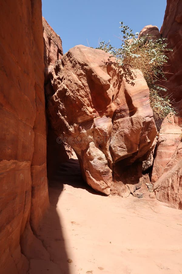 Hiking in Petra, Path on the Way To a Viewpoint, Jordan Stock Image ...