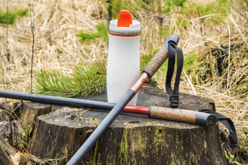 Hiking Poles and Thermos in the Forest on the Stump Stock Photo - Image ...