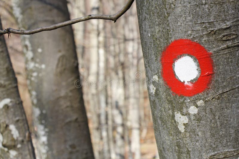 Hiking post pointing editorial photo. Image of arrow - 38891456