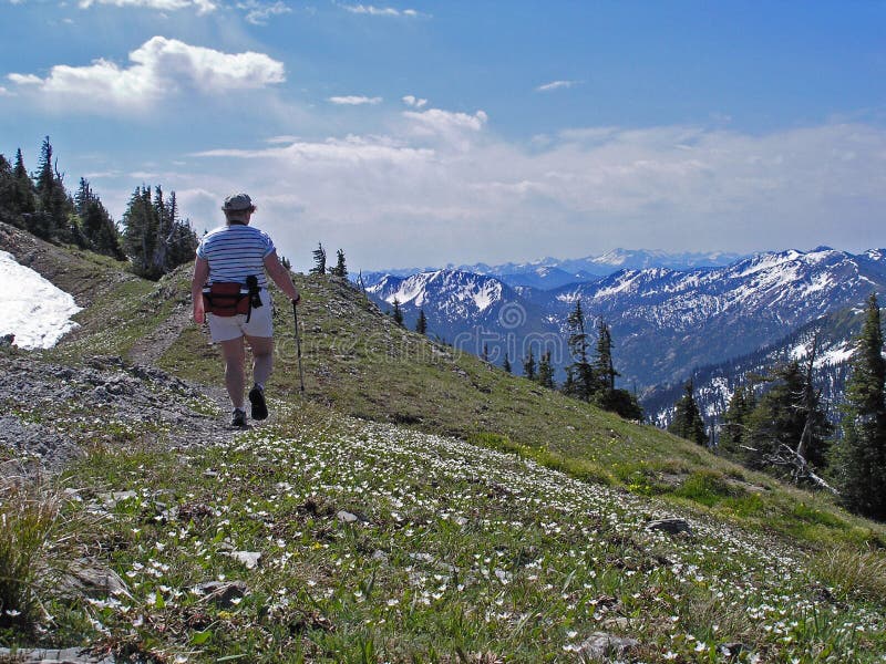 Hiking the Ridge Line stock photo. Image of mountains, wilderness - 957722