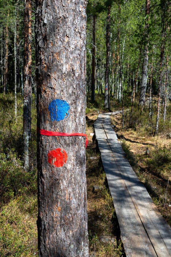 Hiking Route Marks in Pilpasuo Swamp in Oulu, Finland Stock Photo ...
