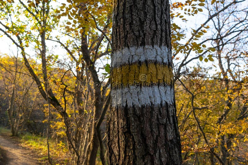Hiking Route Sign on a Mountain Path in the Autumn Forest. Stock Image ... Hiking Route Sign on a Mountain Path in the Autumn Forest. Stock Image ...