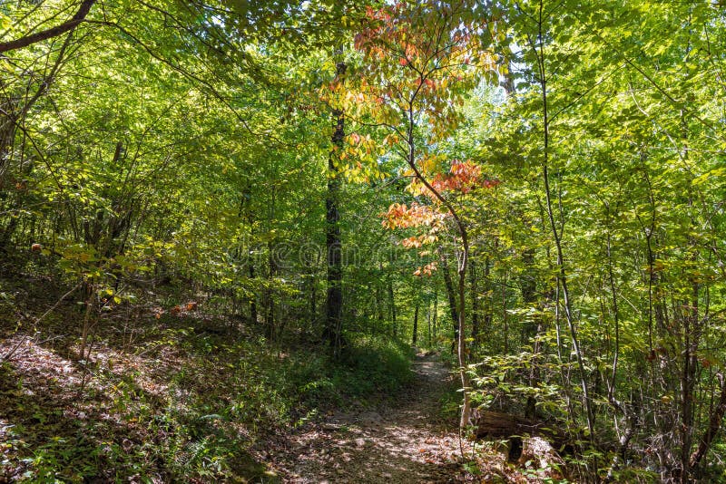 Hiking in the Sam`s Loop Trail Stock Photo - Image of national, outdoor ...