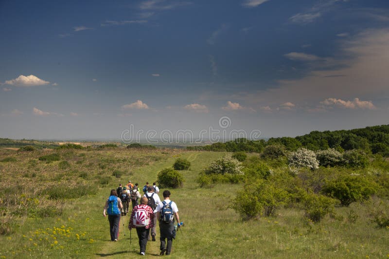Hiking Scene editorial stock image. Image of grass, tundra - 87611794