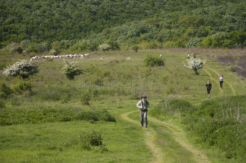 Hiking Scene editorial photography. Image of trail, adventure - 87612117