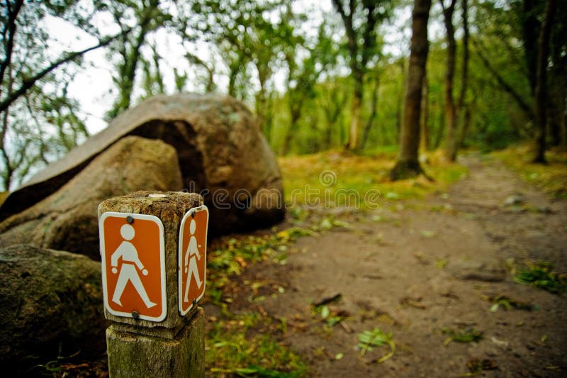 Hiking sign stock image. Image of trail, standing, forrest - 69050057