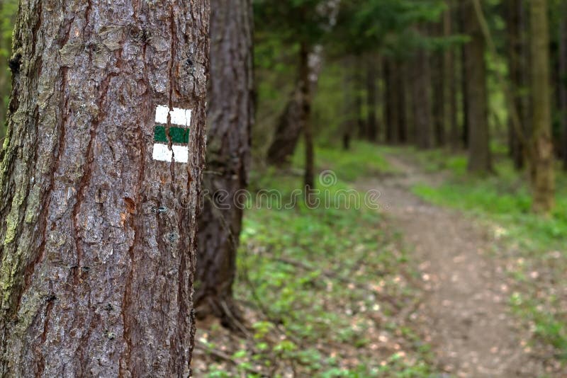 Hiking sign stock photo. Image of concept, guide, grass - 40183630