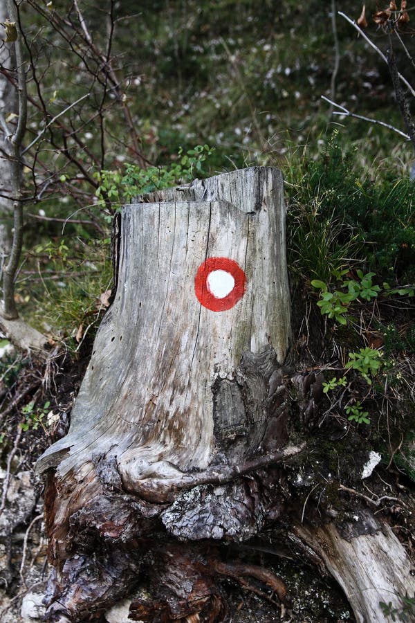 Hiking sign on tree stump. stock photo. Image of trail - 41209784