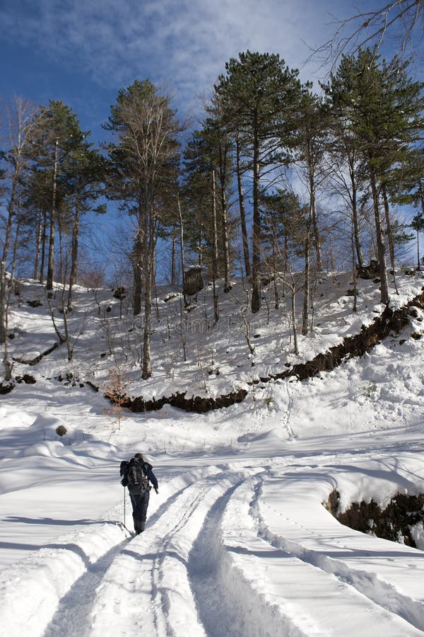 Hiking on snow stock photo. Image of walking, sport, snow - 36206468
