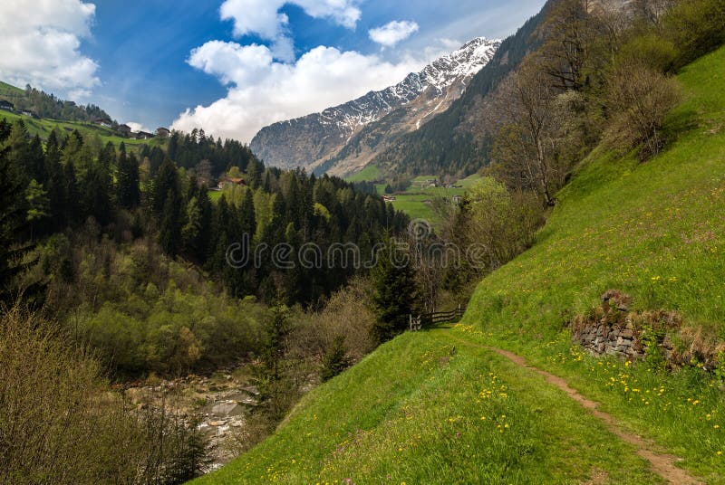 Hiking in South Tyrol stock image. Image of valley, alps - 72736139