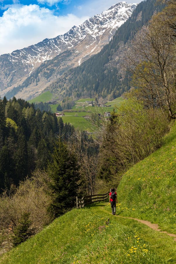 Hiking in South Tyrol stock image. Image of mountains - 72736159