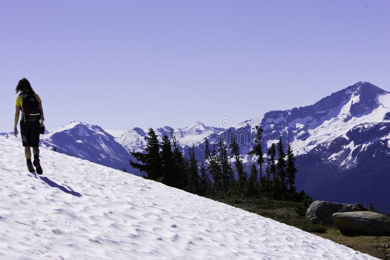 Hiking Summer Snow stock photo. Image of view, flower - 3005414