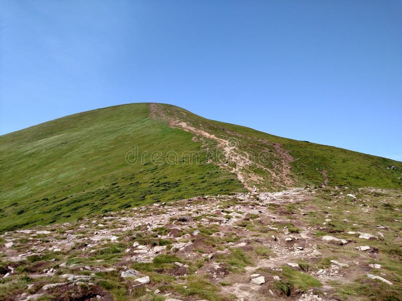 Hiking in Top of the Mountain Hoverla Use Trail Horizontal Color Photo ...
