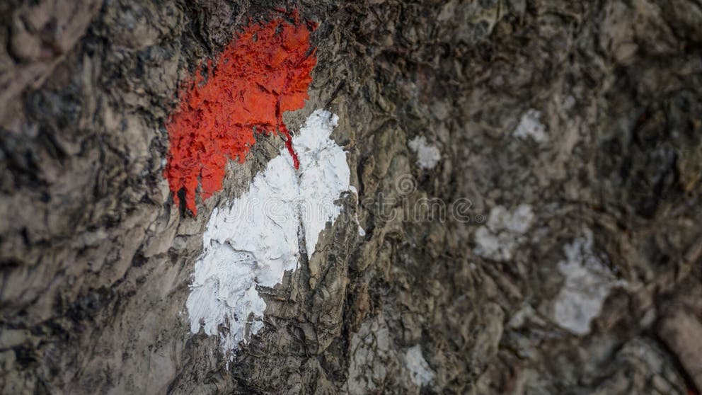 Hiking Trace Sign on Rock Showing the Right Path Stock Image - Image of ...