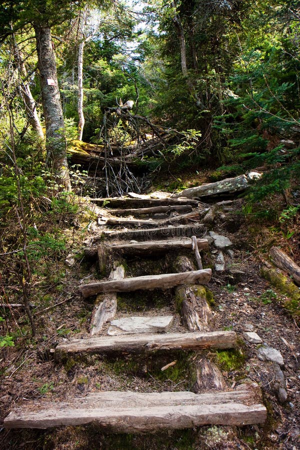 Mountain Steps stock image. Image of carolina, green, path - 141291