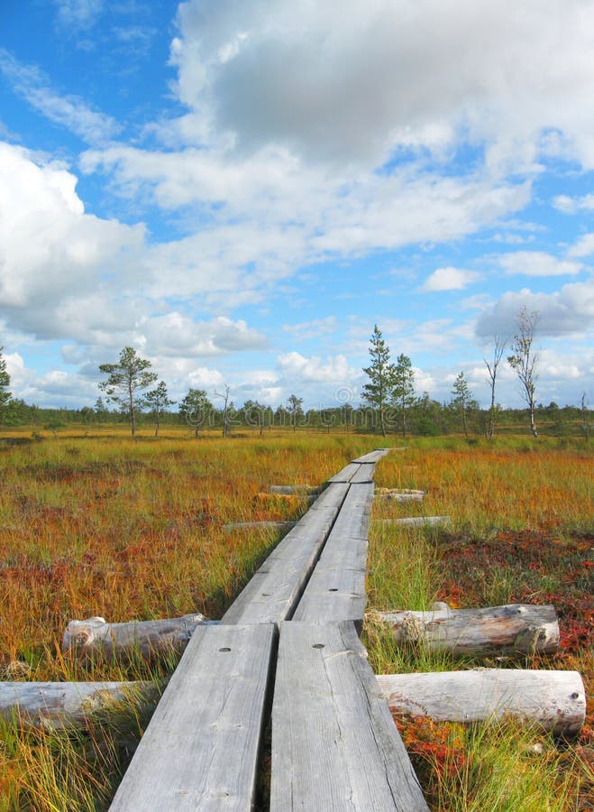 Hiking trail stock image. Image of marsh, beautiful, wilderness - 7397777