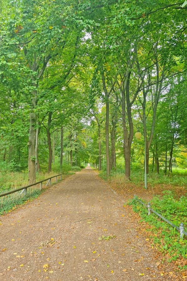 Hiking Trail Along the Green Park. Rest. Stock Photo - Image of aquatic ...