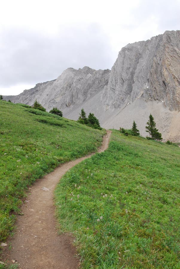 Hiking Trail on Alpine Meadow Stock Photo - Image of grassland ...