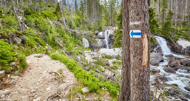 Hiking Trail Arrow Mark on Tree. Stock Photo - Image of nature, tree ...