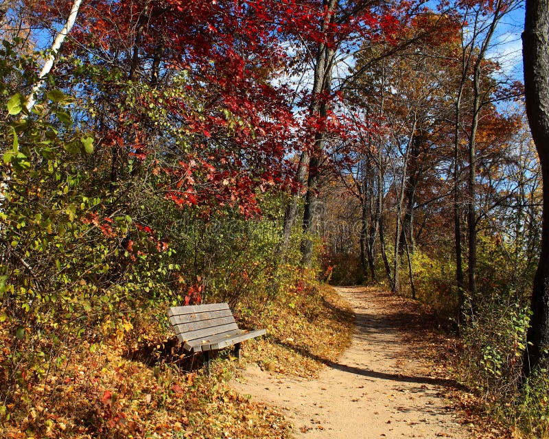 Hiking trail in Autumn stock image. Image of october - 78525219
