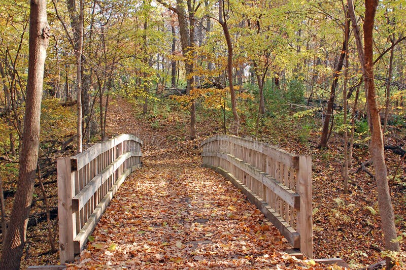 Hiking Trail in Autumn Forest Stock Image - Image of beauty, beautiful ...