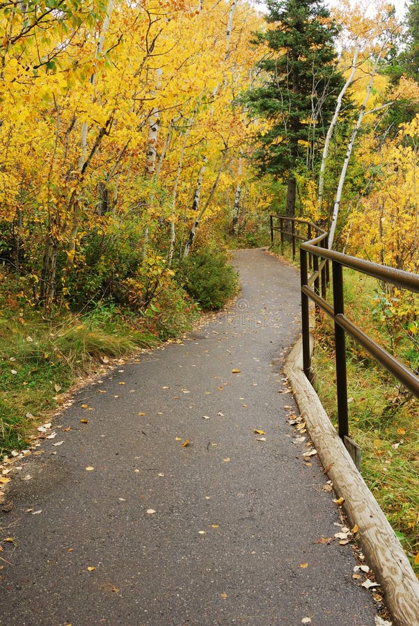 Hiking Trail in Autumn Forest Stock Image - Image of park, saskatchewan ...