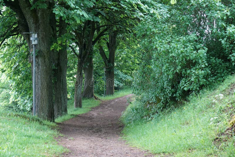 Hiking Trails in the Bavarian Forest in Spring Stock Photo - Image of ...