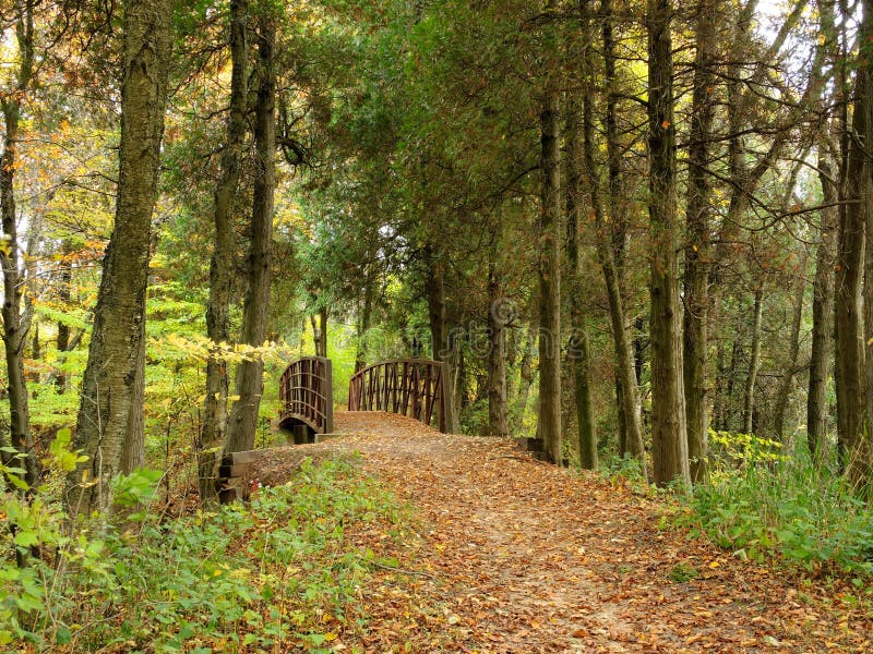 A hiking trail bridge stock photo. Image of park, leaves - 34705494
