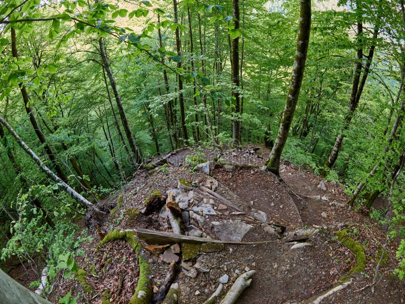Hiking Trail Descends from a Very Steep Slope in the Spring Forest ...