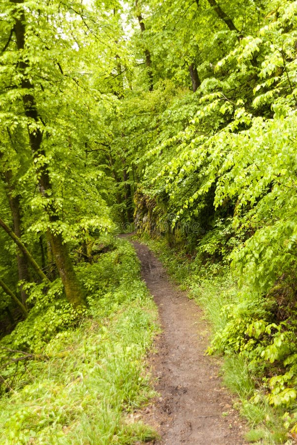 On the Hiking Trail Eifelsteig Stock Photo - Image of flooding, eifel ...