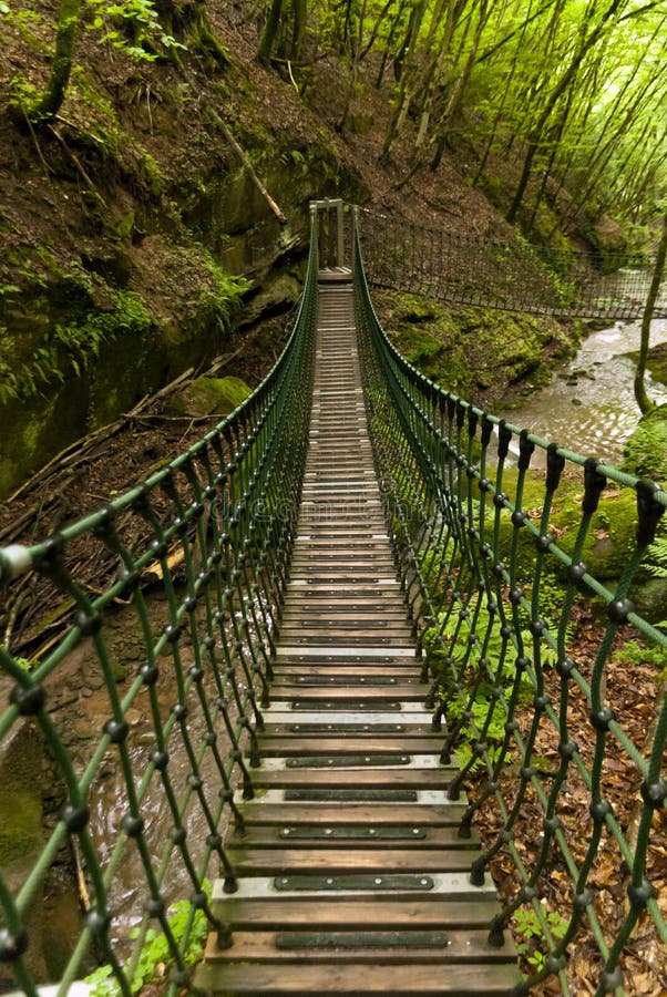 On the Hiking Trail Eifelsteig Stock Image - Image of eifelsteig, eifel ...