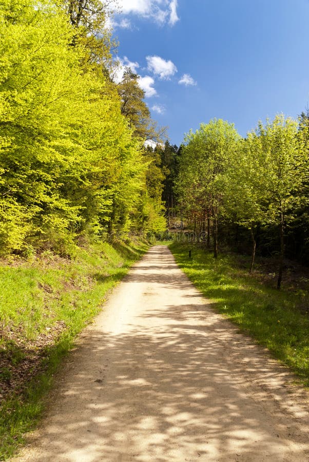 On the Hiking Trail Eifelsteig Stock Image - Image of eifel, trail ...