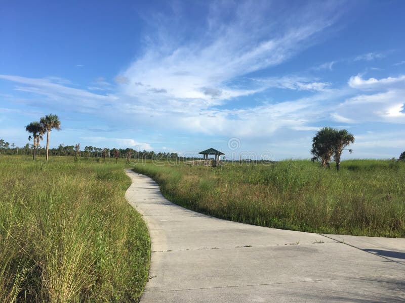 Hiking Trail in the Everglades Stock Photo - Image of national ...