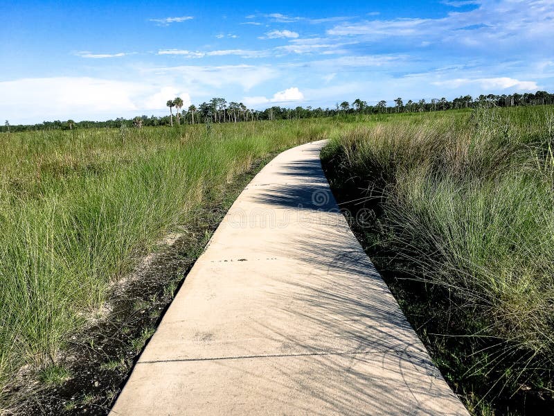 Hiking Trail in the Everglades Stock Image - Image of grass, sawgrass ...