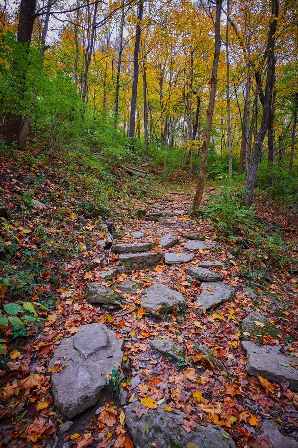 Hiking Trail with Fall Leaves Stock Photo - Image of mountain, mitchell ...