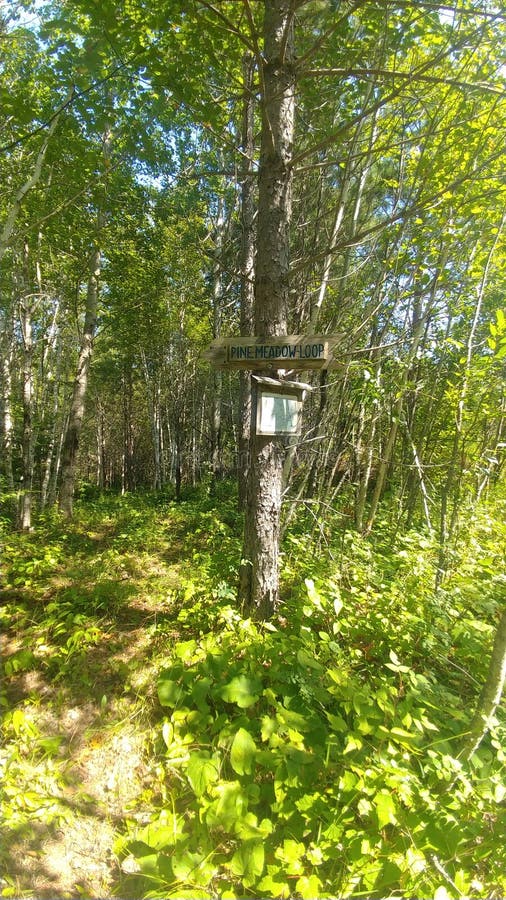 Hiking trail stock image. Image of fish, path, trail - 126876879