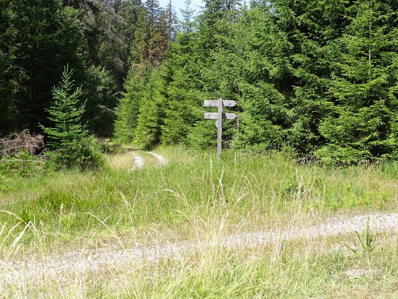 Hiking trail fork stock photo. Image of landscape, environment - 302591214
