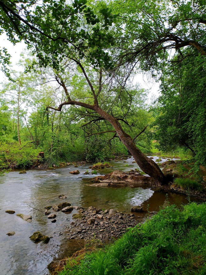 Hiking Trail Gradac River stock image. Image of stream - 259156419