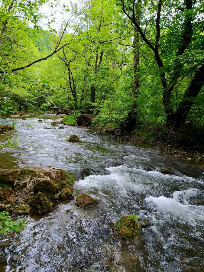 Hiking Trail Gradac River stock photo. Image of river - 259156406