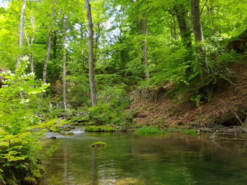 Hiking Trail Gradac River stock image. Image of forest - 259156477